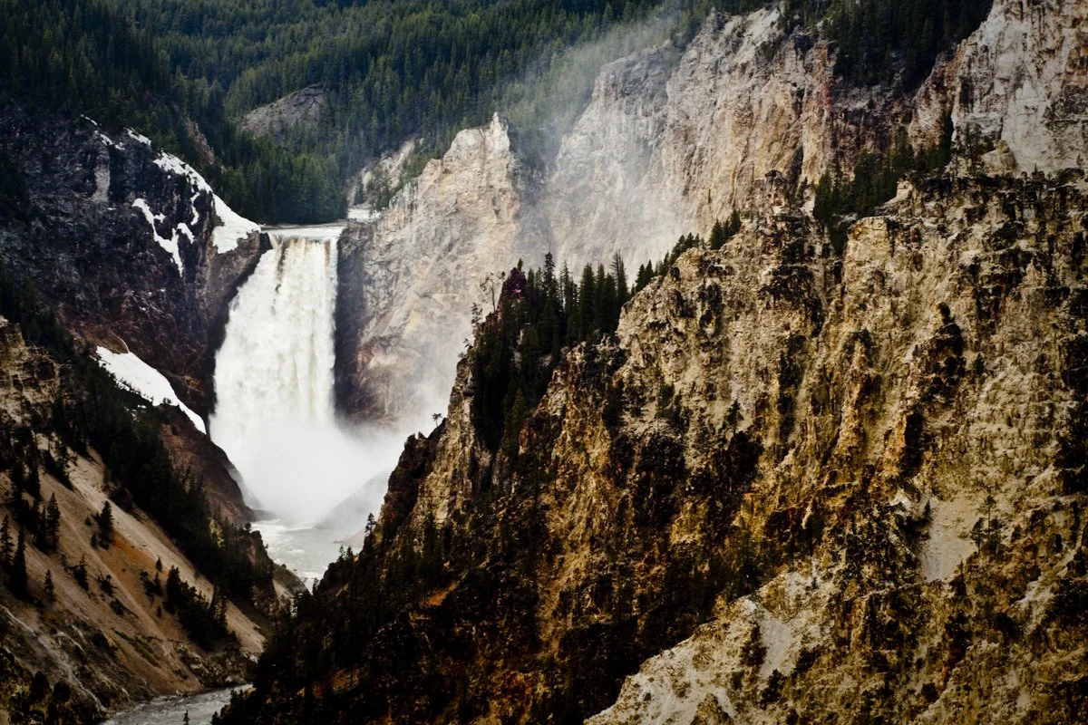 YELLOWSTONE: Spring Photography — Experience Wildlife