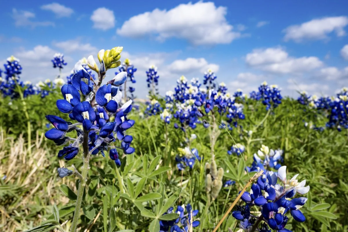 Workshops & Photo Tours — Experience Wildlife