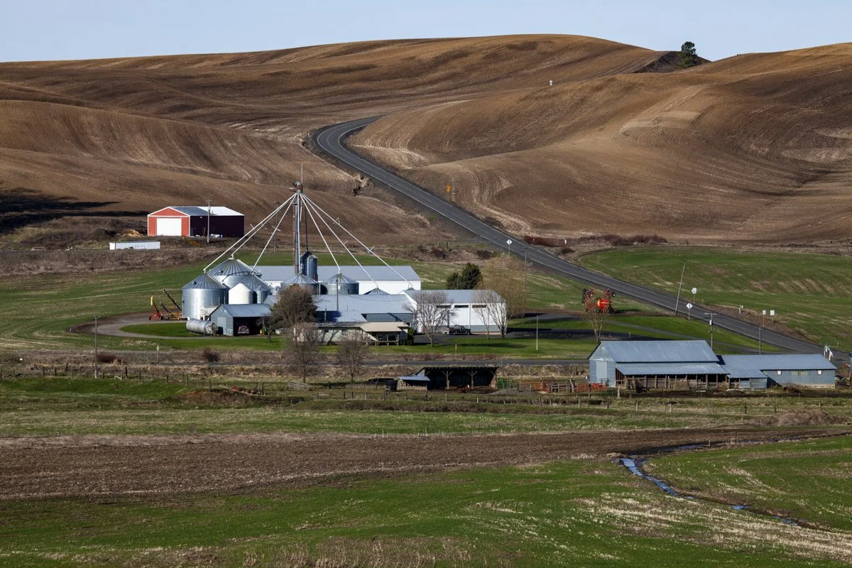 WASHINGTON: Palouse Landscape Photography — Experience Wildlife