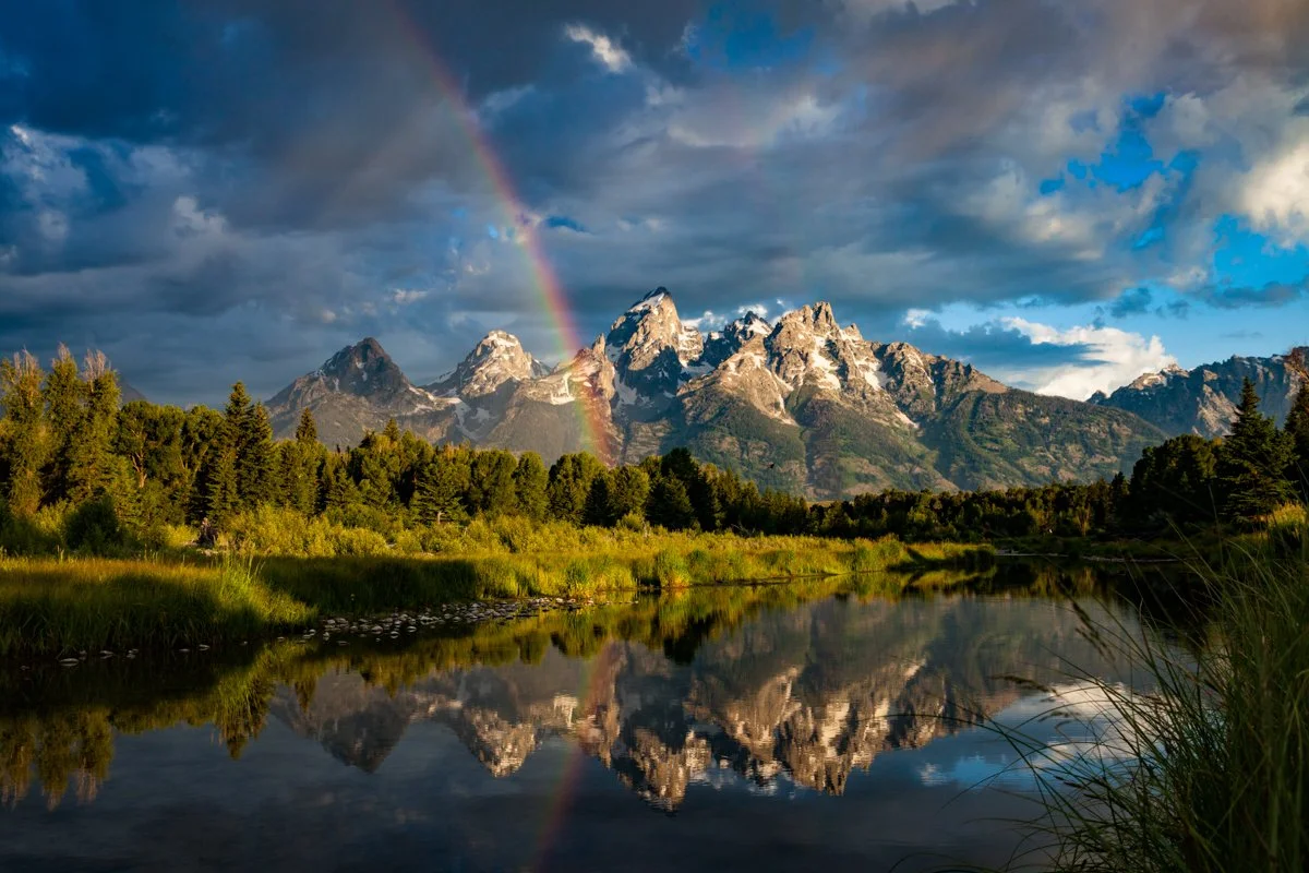 Grand Teton: Spring Wildlife Photography Tour 2025 — Experience Wildlife