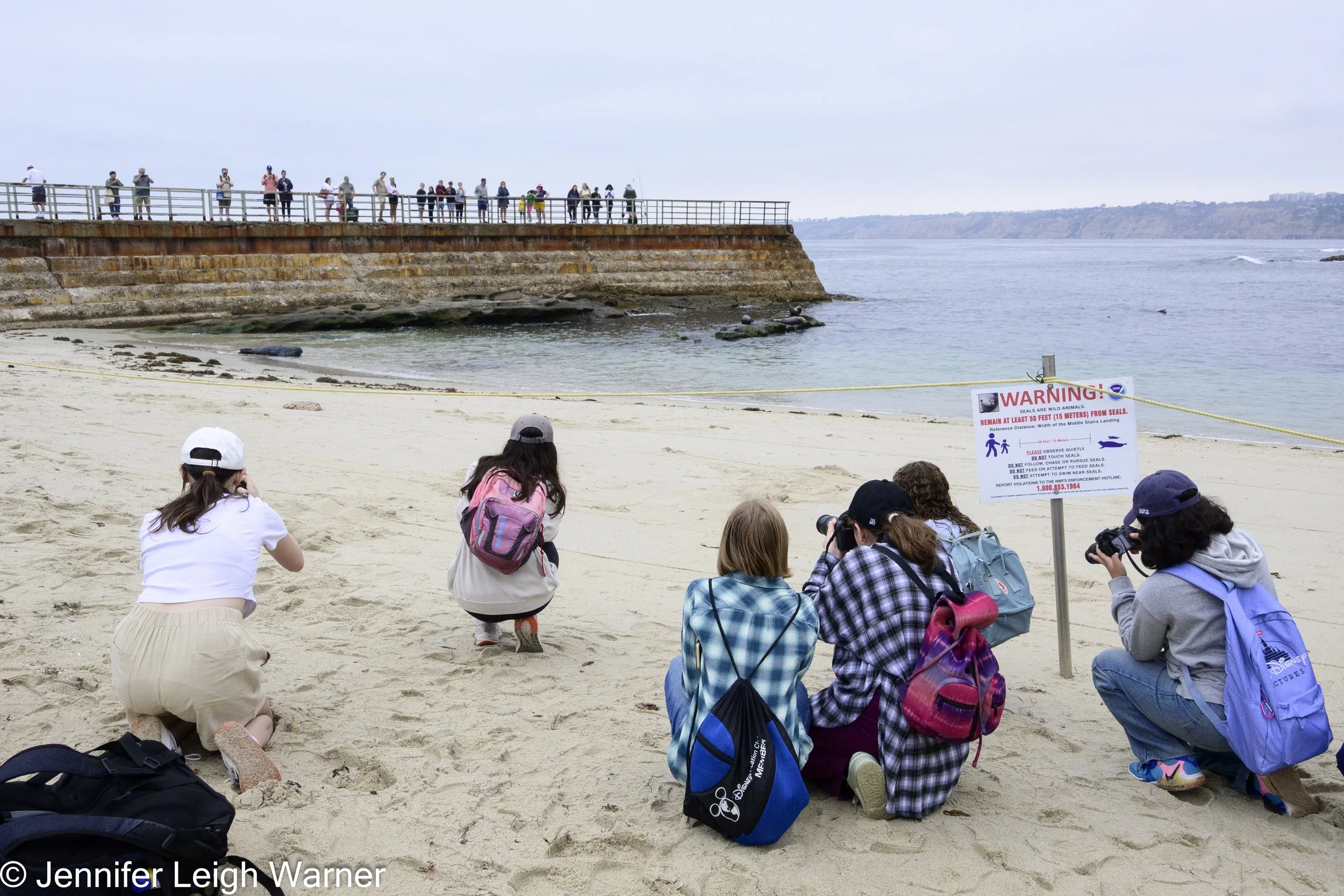 Girls Who Click Annual Teen Conservation Workshop — Experience Wildlife
