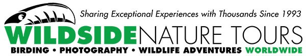 TEXAS: Big Bucks & Birds - Wildside Nature Tours — Experience Wildlife