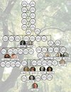 Family Trees & the Beardsleys — House of History