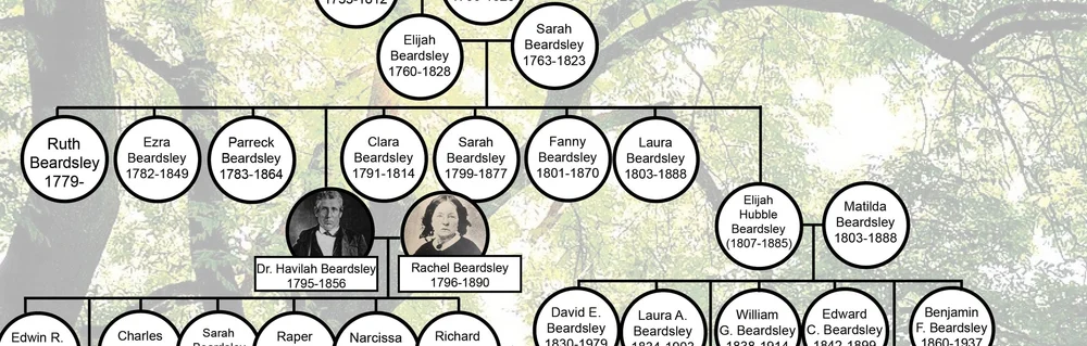 Family Trees & the Beardsleys — House of History