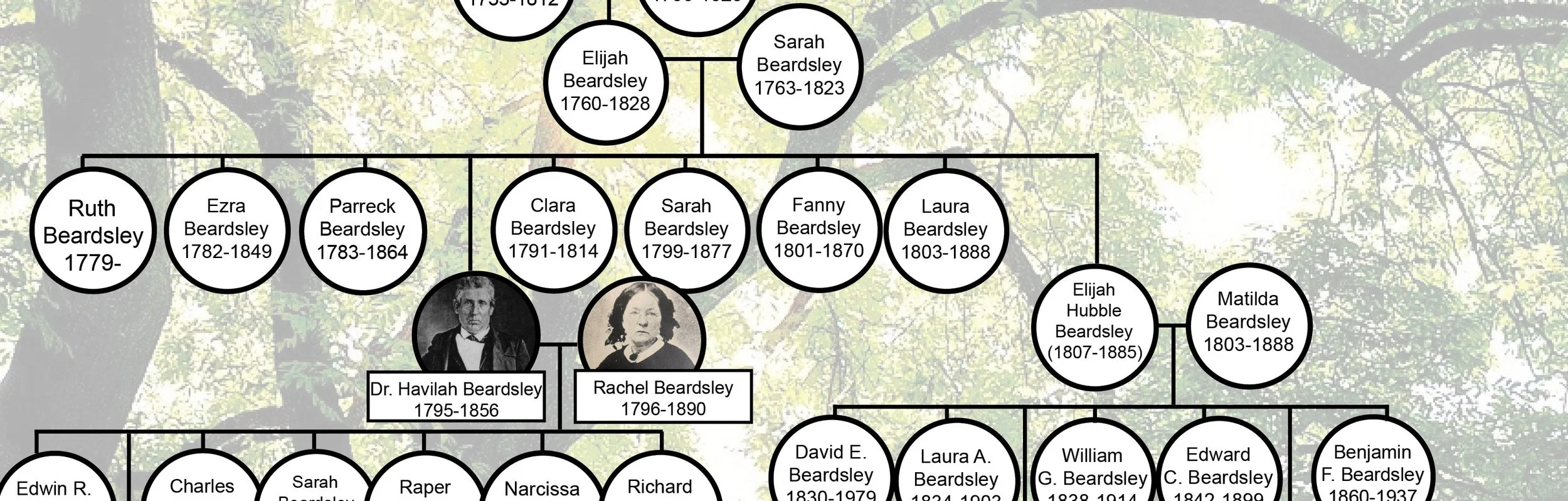 Family Trees & the Beardsleys — House of History
