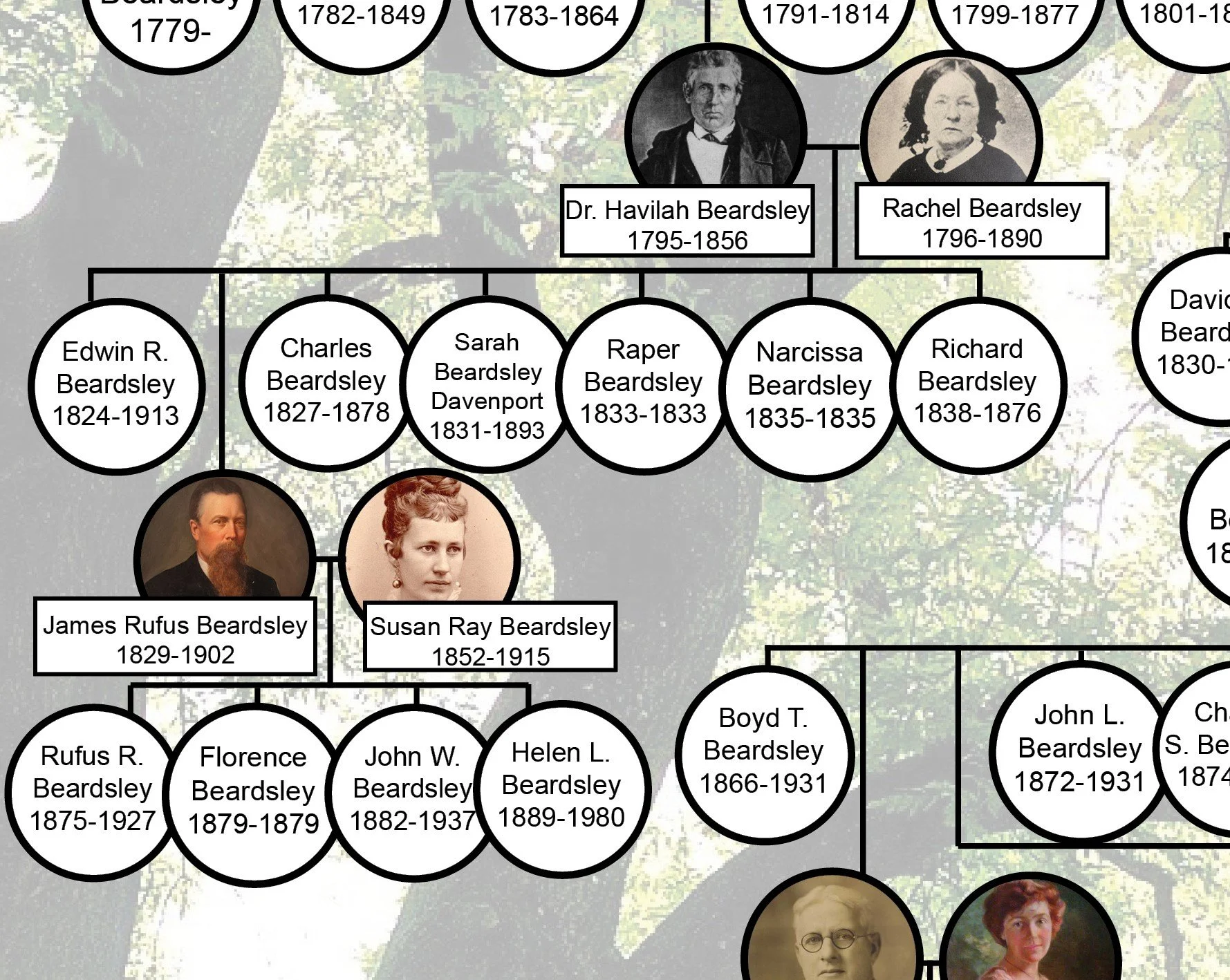 Family Trees & the Beardsleys — House of History