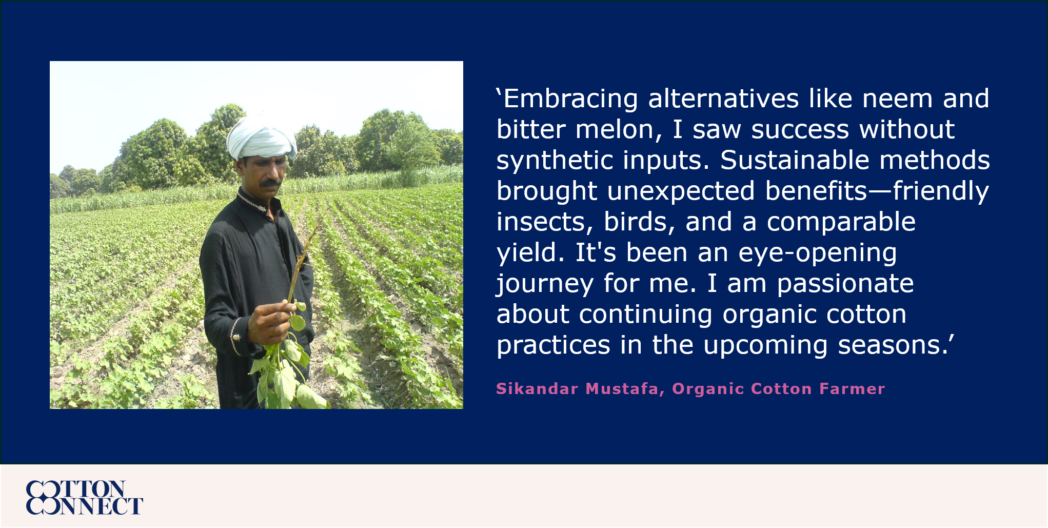 CottonConnect's Organic Cotton Pilot in Pakistan — CottonConnect
