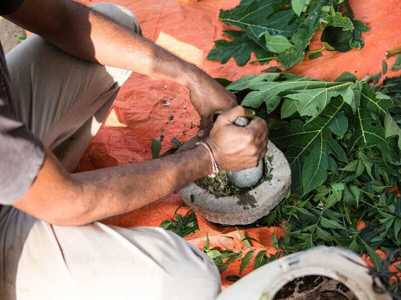 Our services — Cotton Connect