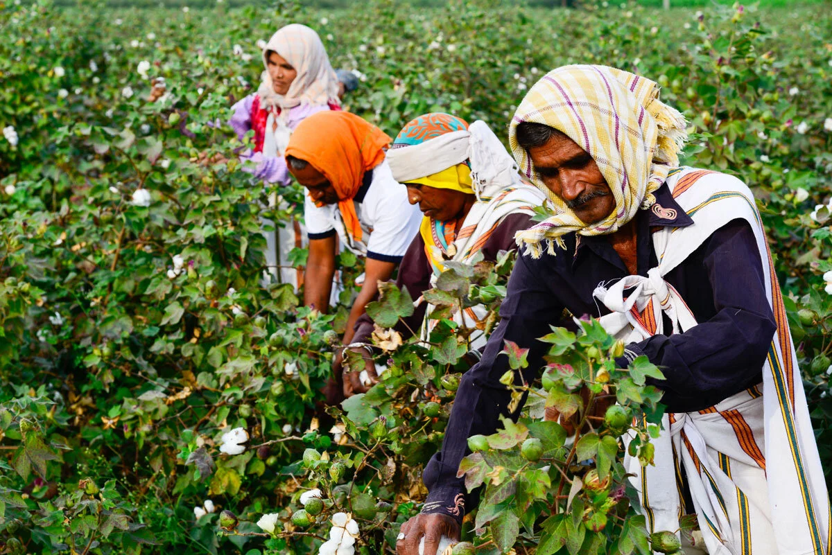 Get in Touch to Collaborate — CottonConnect