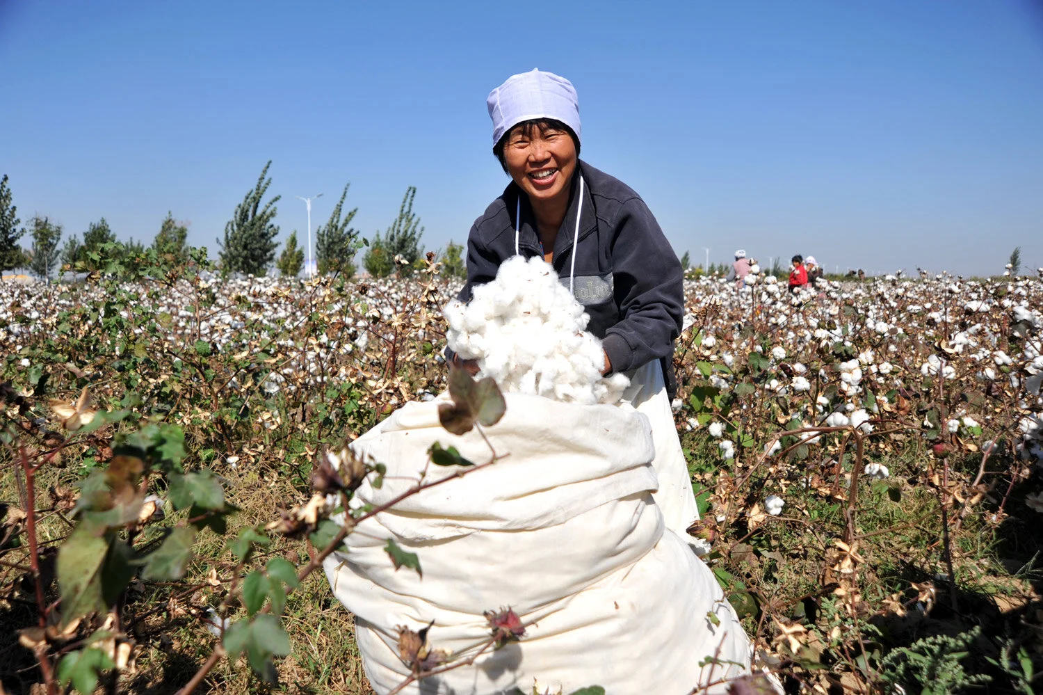 Who we are — CottonConnect