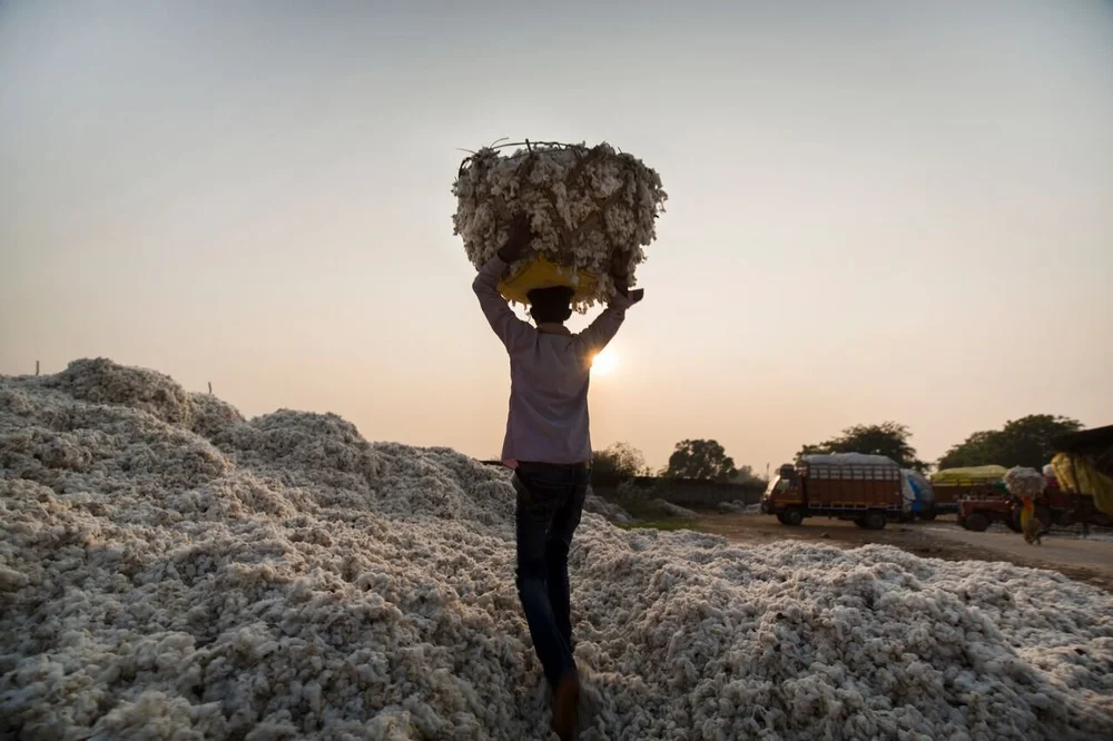 Building long term partnerships for a sustainable organic cotton supply ...