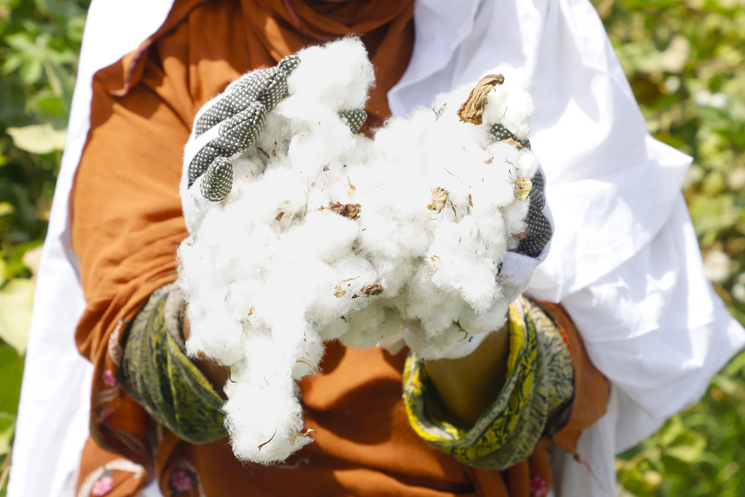 Our Impact — CottonConnect