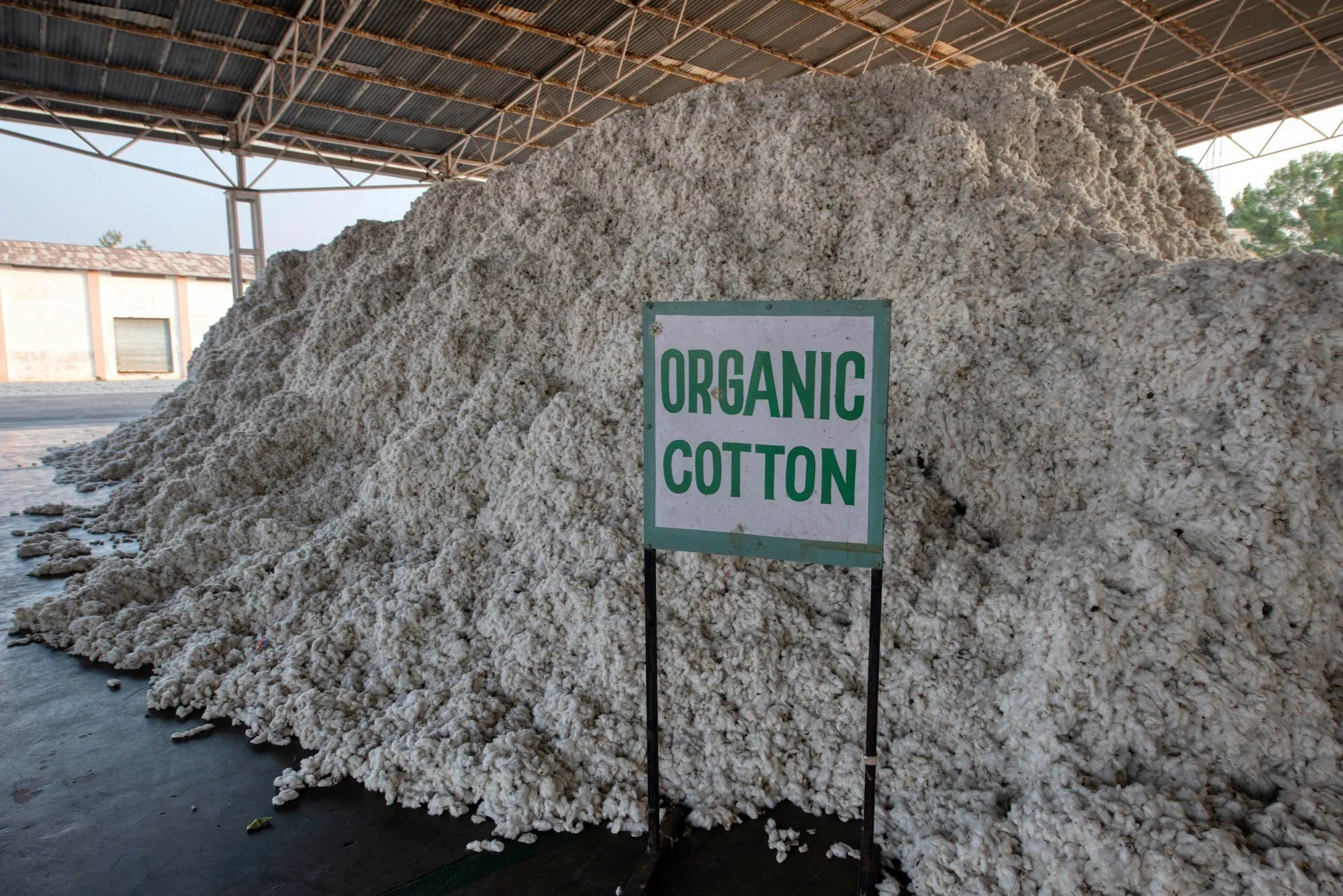 Our Impact — CottonConnect