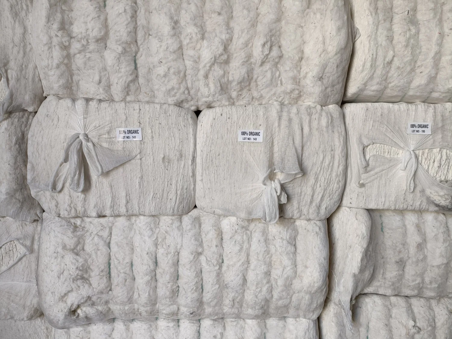 Sustainable Clothing and Cotton Production — CottonConnect