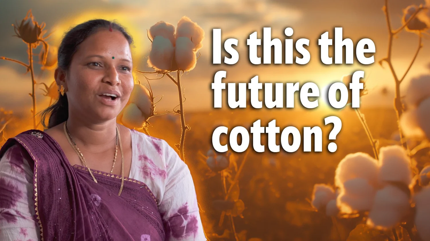 CottonConnect