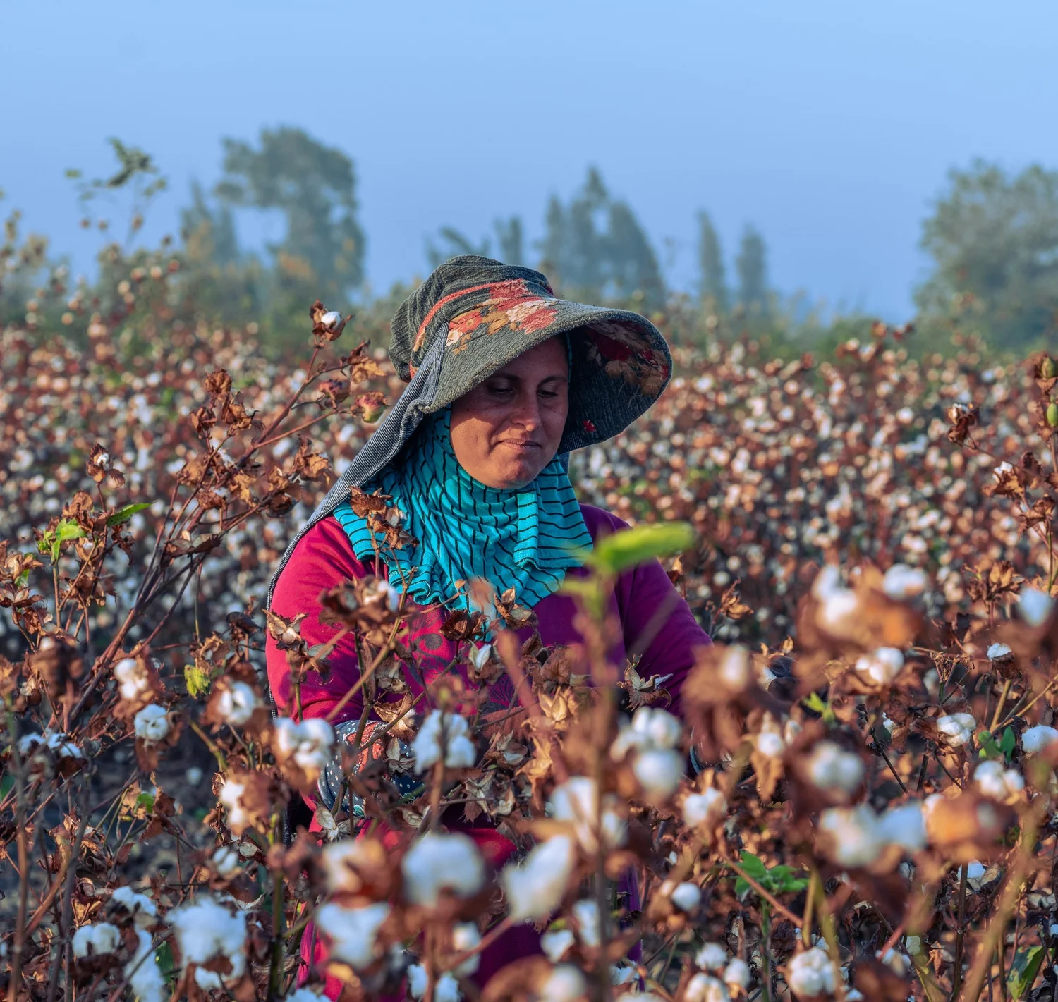 Our Impact and our Sustainable Cotton Journey — CottonConnect
