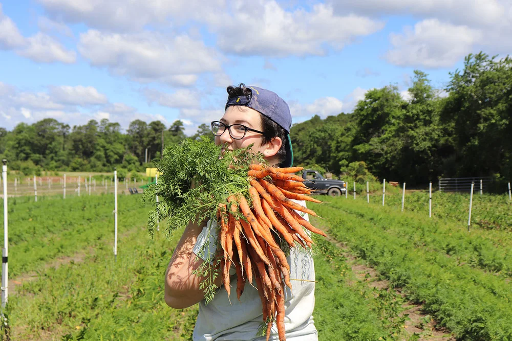 The Farm — Walking Bird Farm