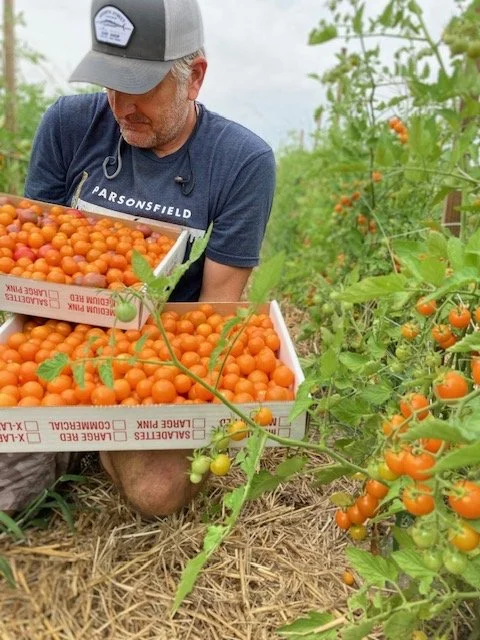 CSA — Walking Bird Farm