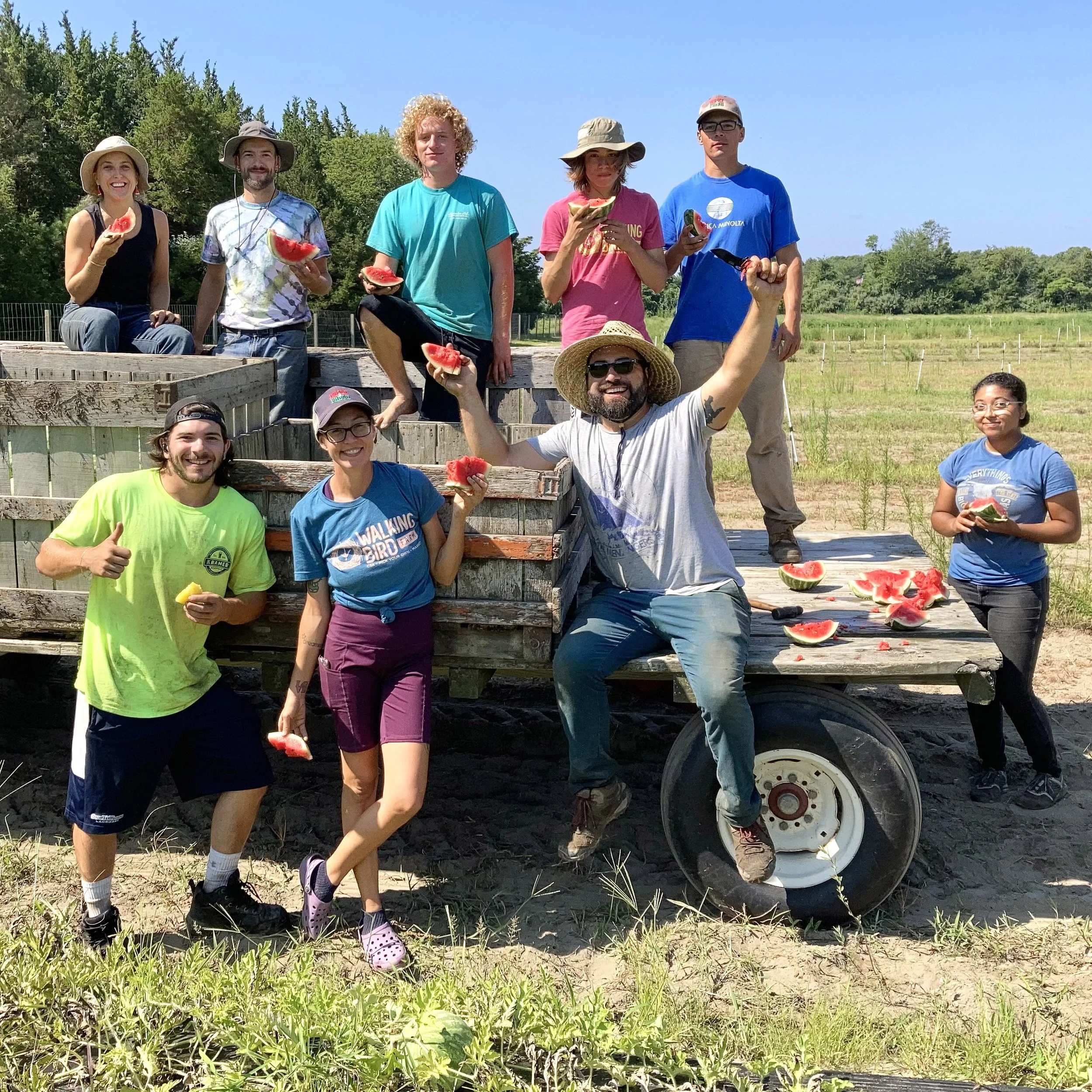 The Farm — Walking Bird Farm