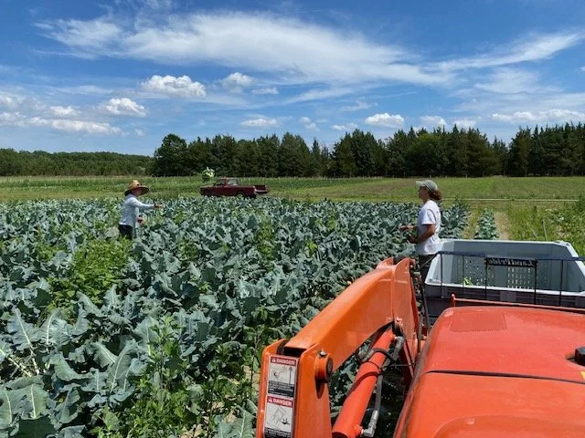 Blog — Walking Bird Farm