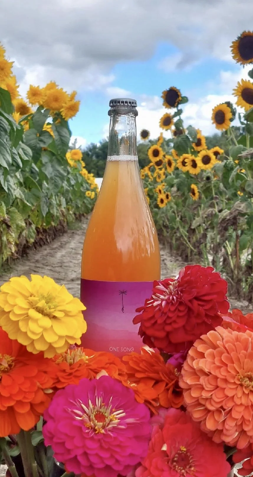 Farm Events — Walking Bird Farm