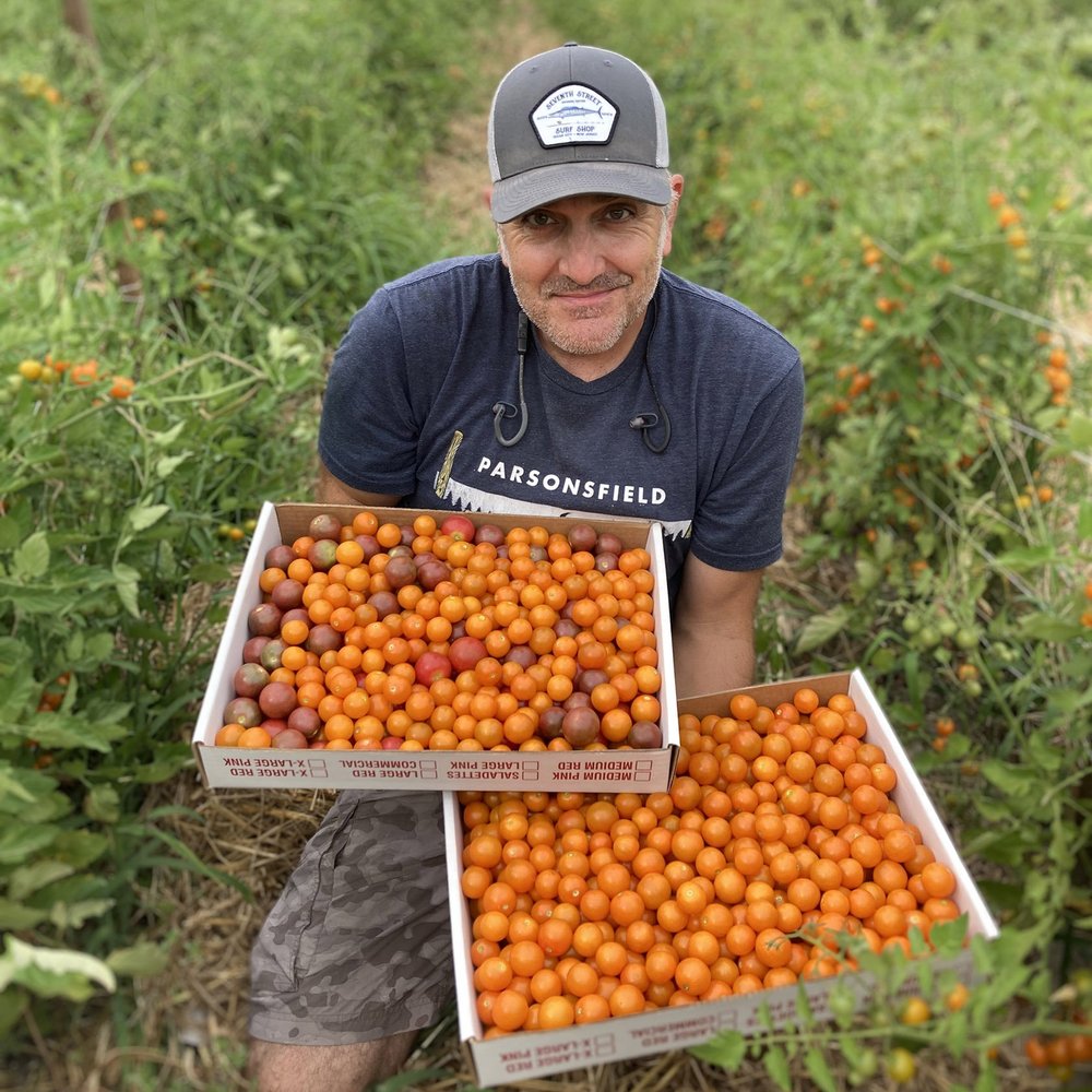 CSA — Walking Bird Farm