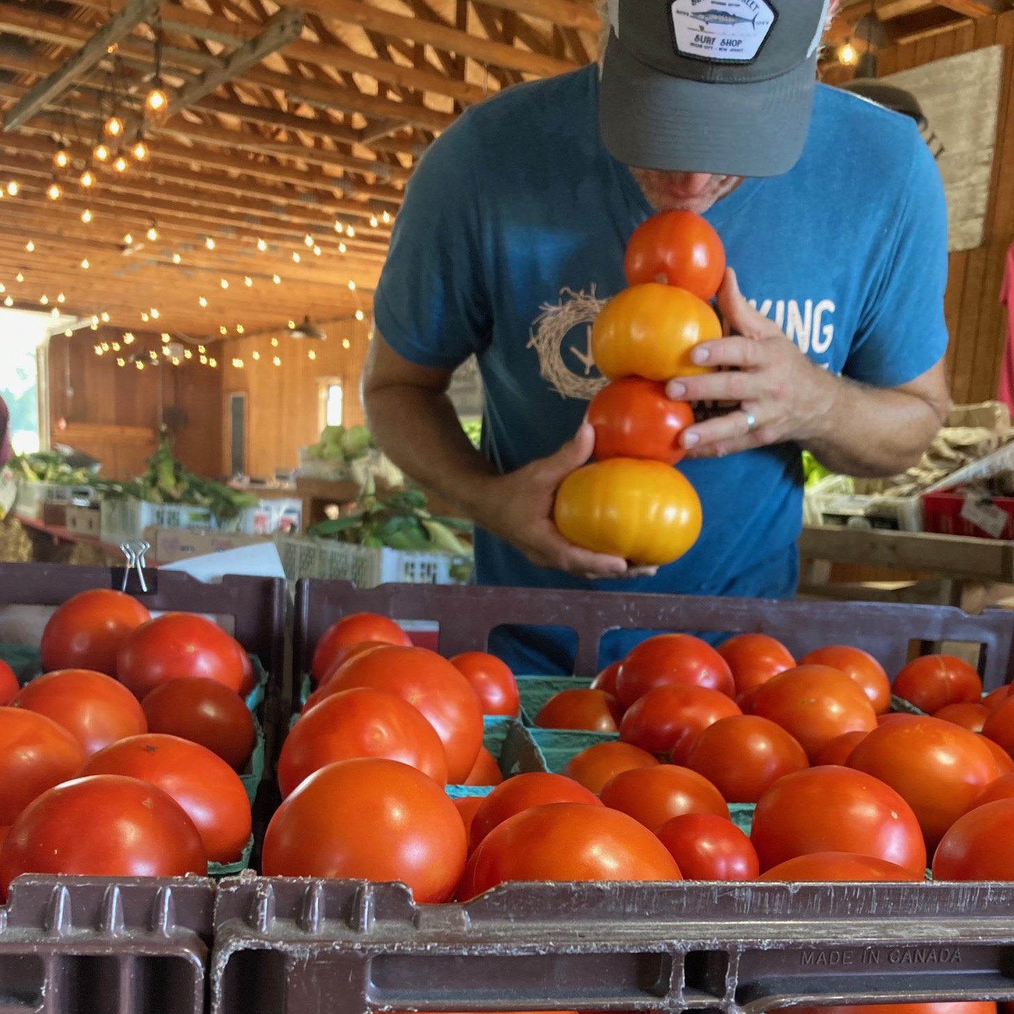 The Farm — Walking Bird Farm