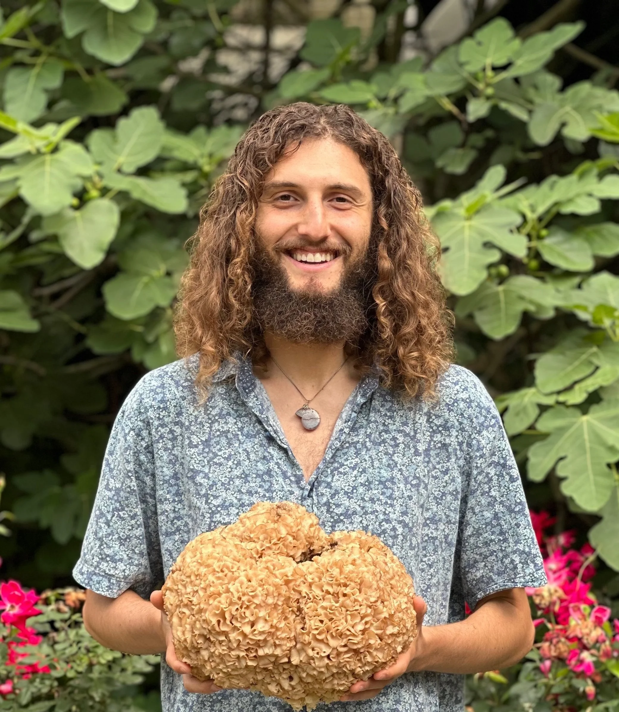 Nature and Forest Therapy as a Way of Life | Just Love Forest