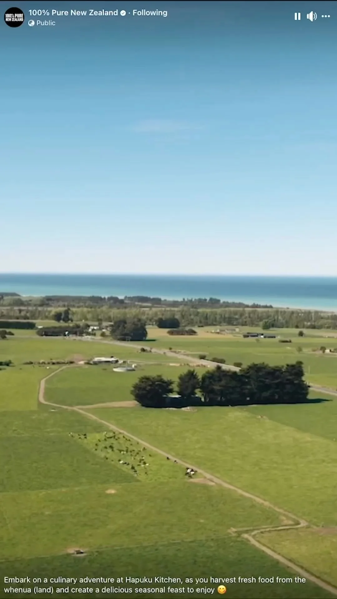 Hapuku Kitchen - Cooking School in the Heart of New Zealand