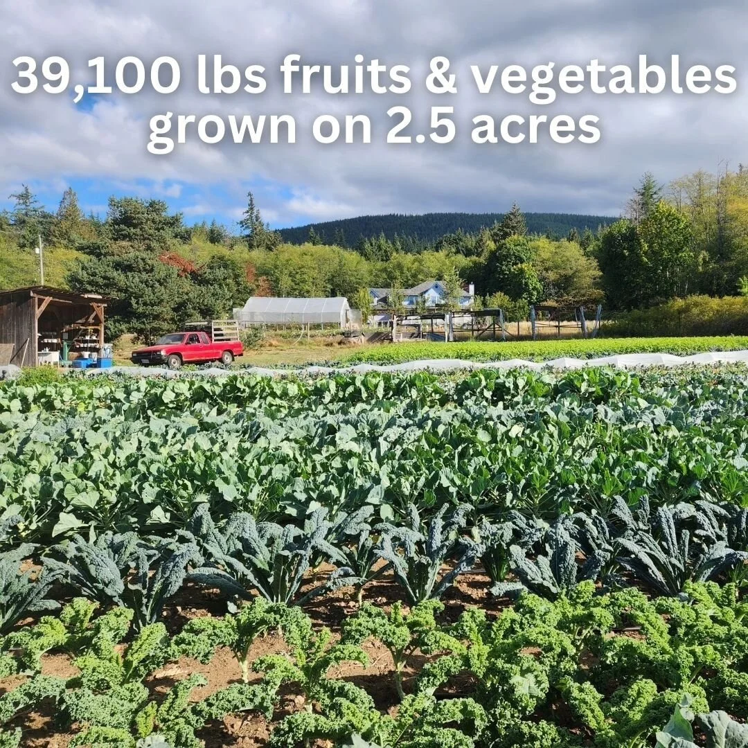 Grounded Acres Organic Farm