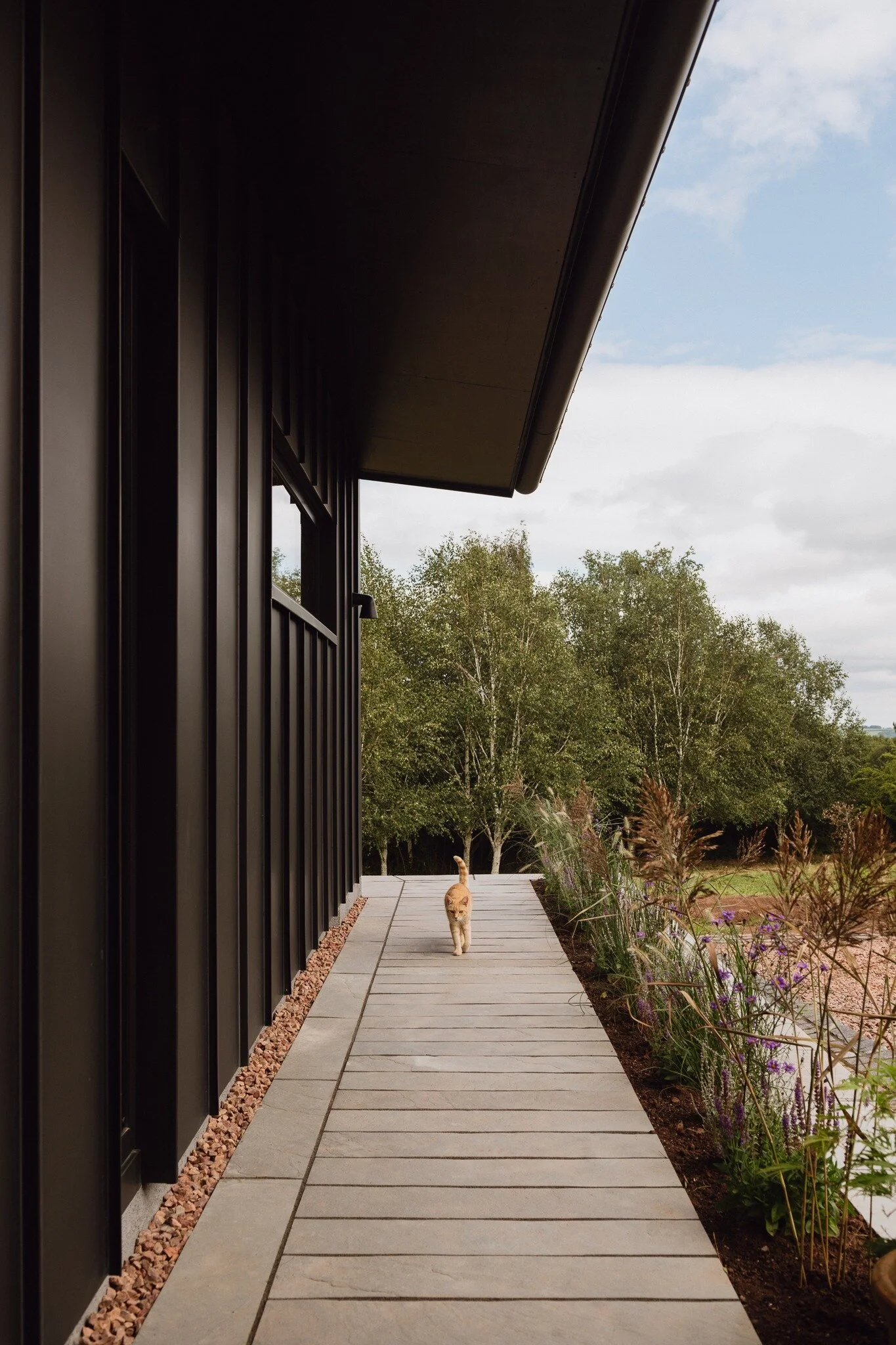 Everything you need to know about sustainable architecture — Arbor ...