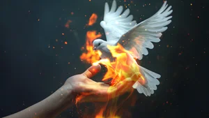 4 Types of Prophets: How the Holy Spirit Speaks to Each Calling ...