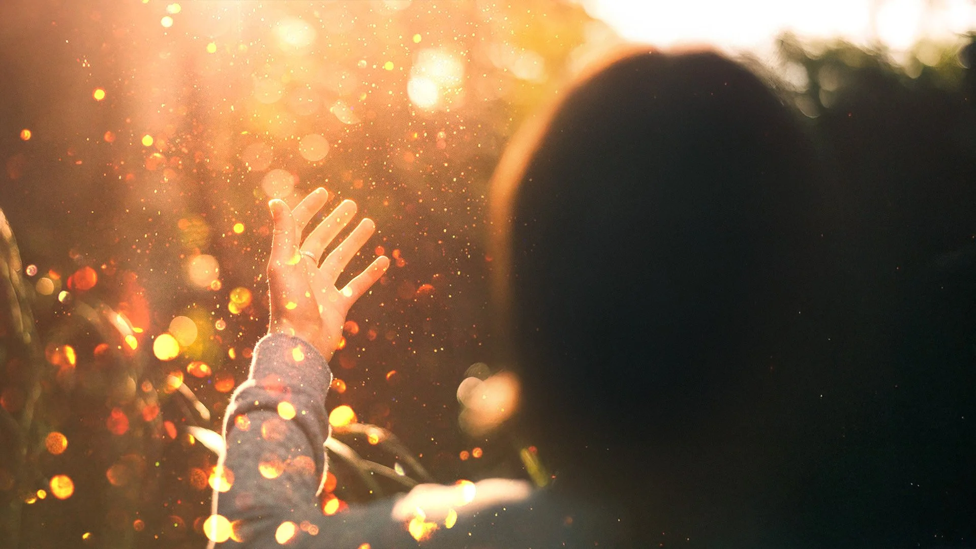 Activate the 9 Gifts of the Spirit: Unlock God’s Power for Healing and ...