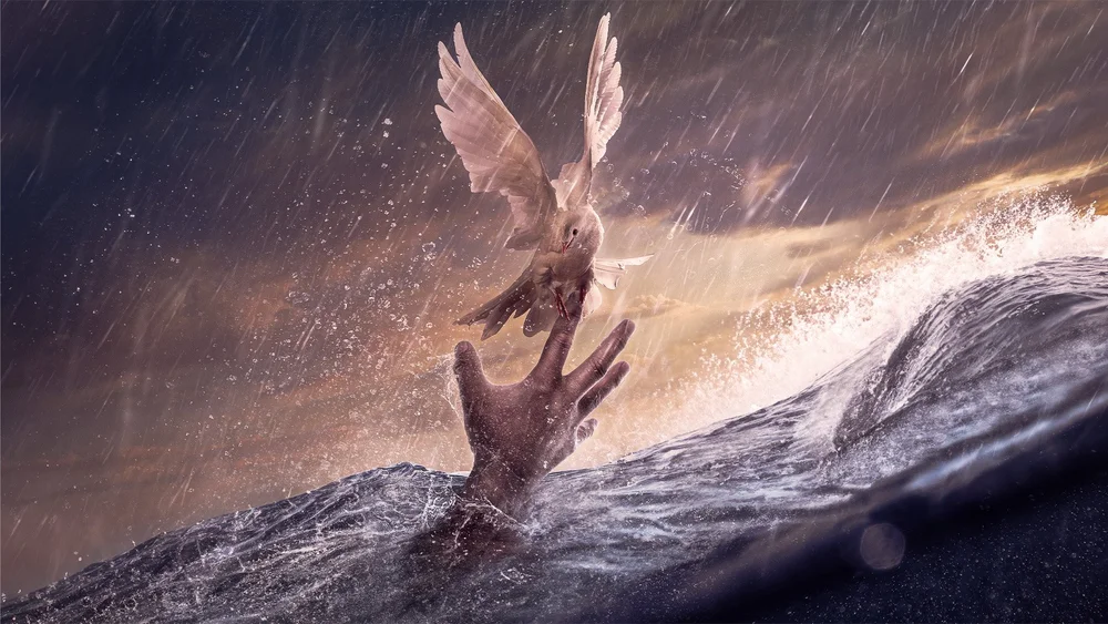 Holy Spirit: Your Comforter and Intimate Partner — Harrison House