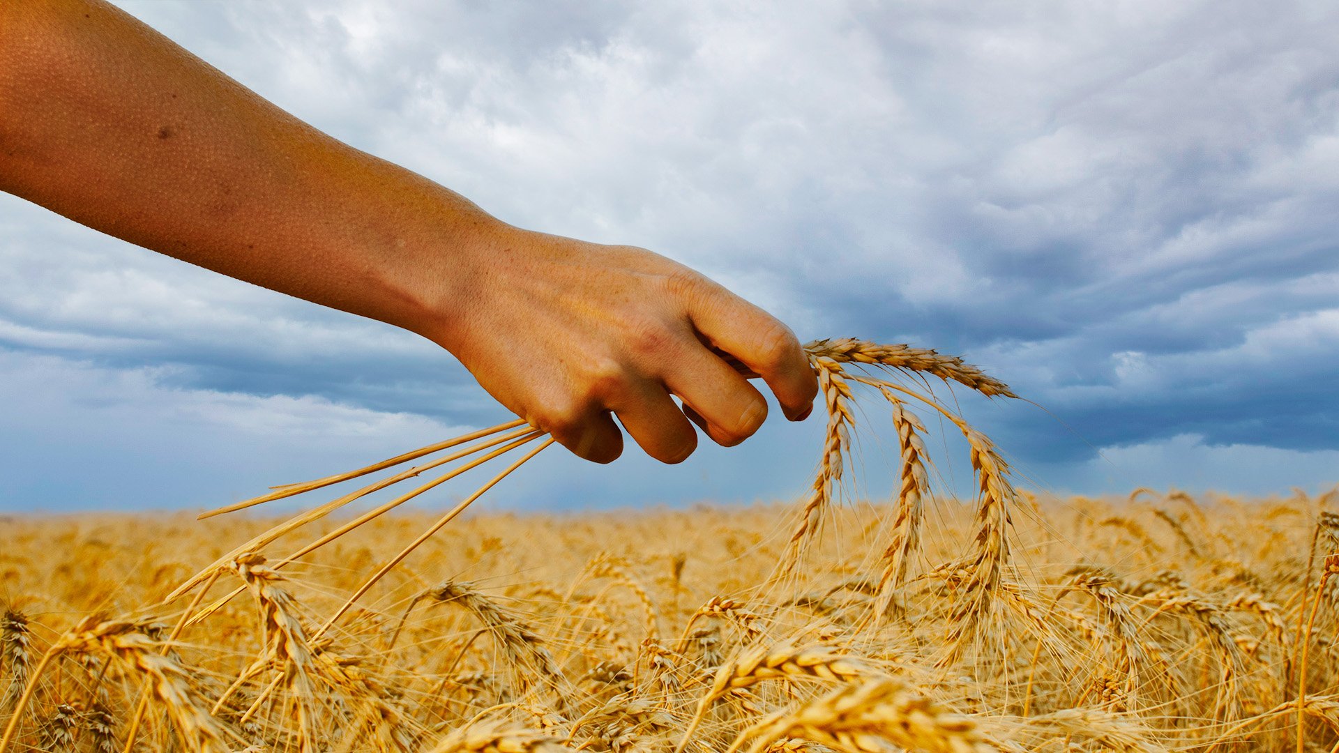 Blessed Amidst Persecution: Finding God’s Peace in Trials & Rejection ...