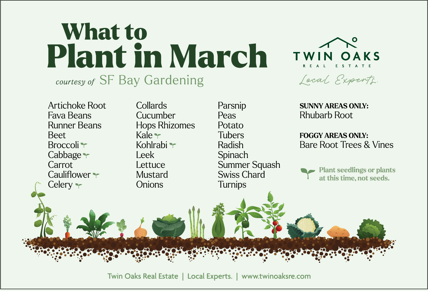 SF Bay Area: March 2024 Planting Guide — Twin Oaks Real Estate