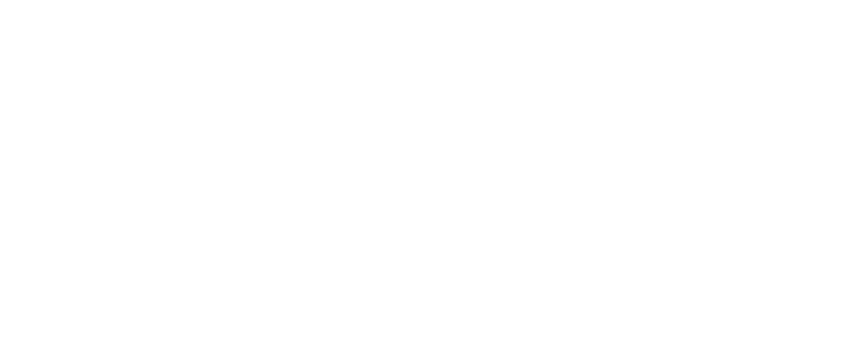 The Kevin Richter Team