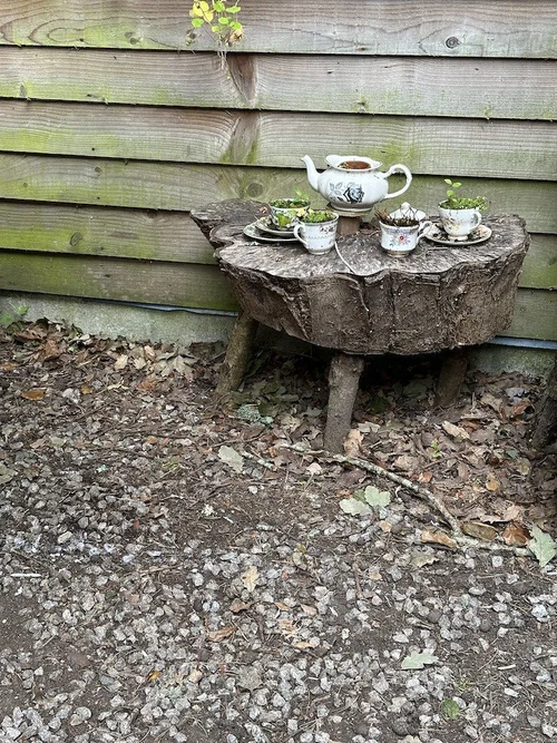 Tea Grown and Produced in England at Tregothnan in Cornwall — Tranquil ...