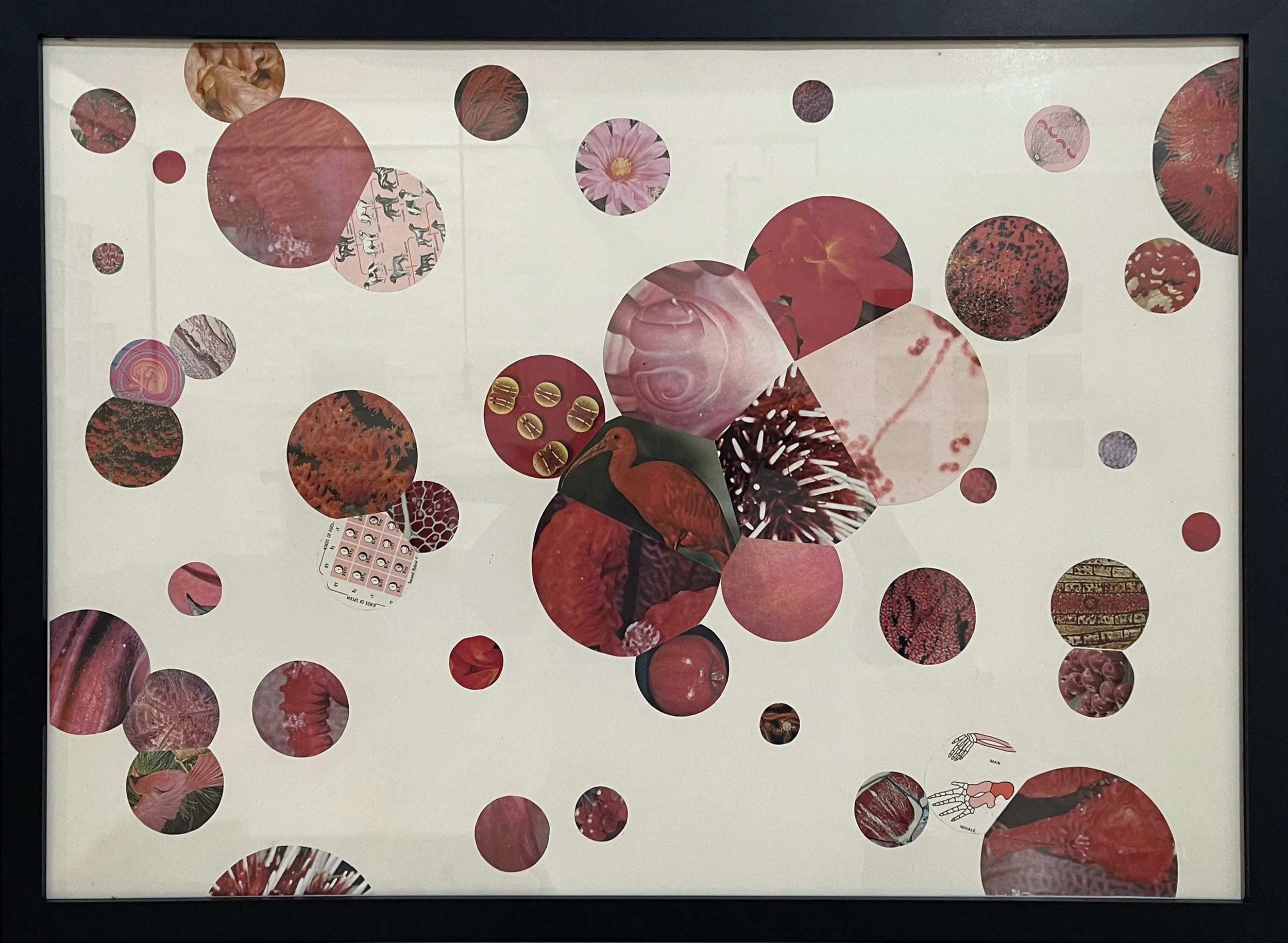 Radius Art Gallery + Events Daylesford and Hepburn