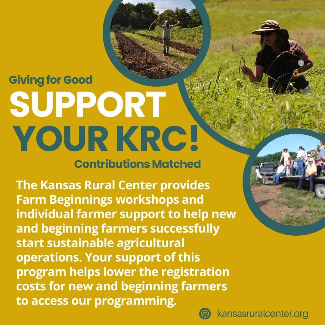 Insights from Pipeline Foods’ Bankruptcy: Lessons for the Future ...