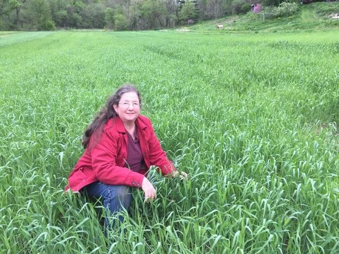 Insights from Pipeline Foods’ Bankruptcy: Lessons for the Future ...