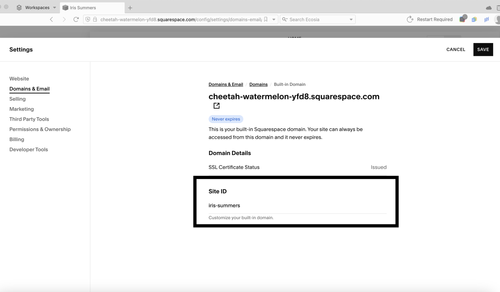 A step-by-step guide to creating your author website in Squarespace ...