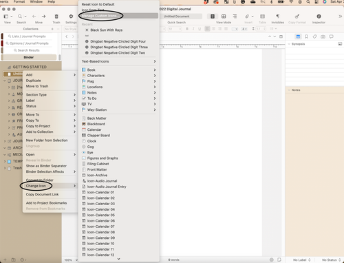 How to add custom binder icons in Scrivener for more aesthetic projects ...