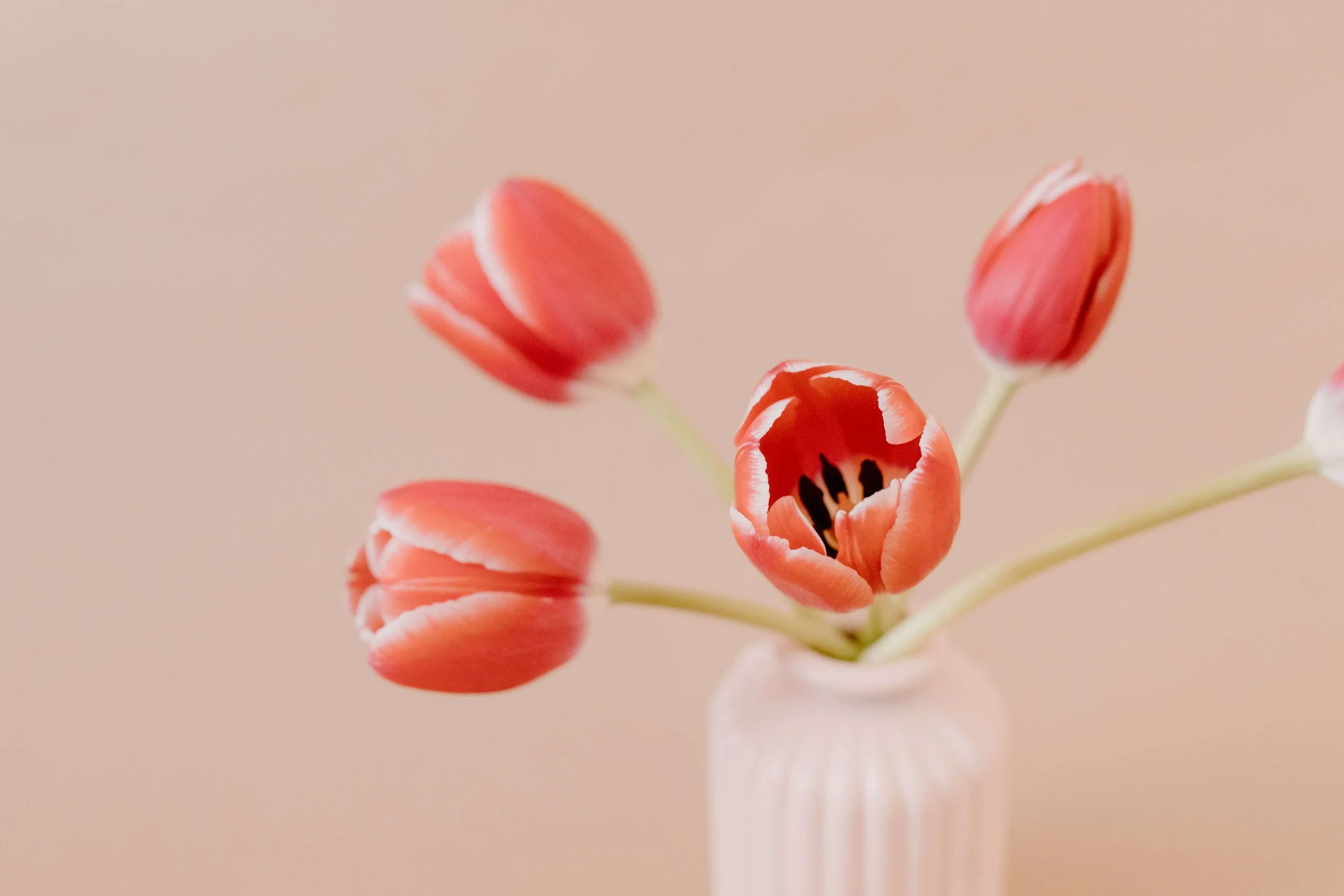 5 Ways to Refresh Your Chronically Well Habits — Leslie Thorpe ...