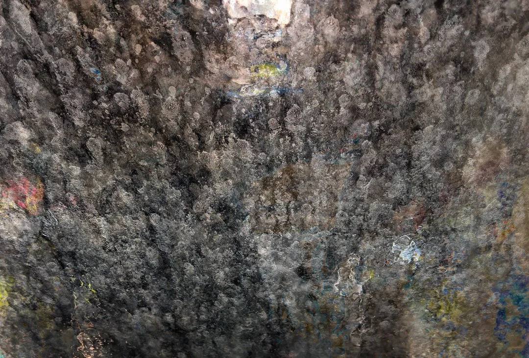 PHOTOGraphic — Conversations with Artists