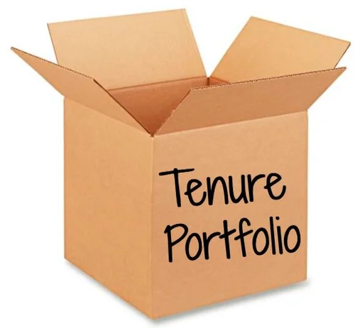 The Ultimate Guide of How to Write Your Tenure Portfolio for NYC ...