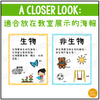 Traditional Chinese Posters | Common Chinese Radicals — Early Sparks