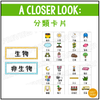 Traditional Chinese Posters | Common Chinese Radicals — Early Sparks