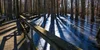 Trail Guides — Wheeler Wildlife Refuge Association