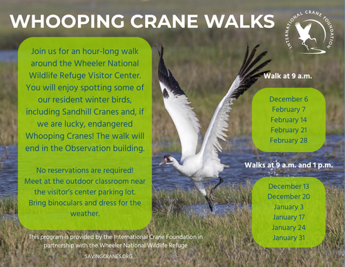Whooping Crane Walks — Wheeler Wildlife Refuge Association